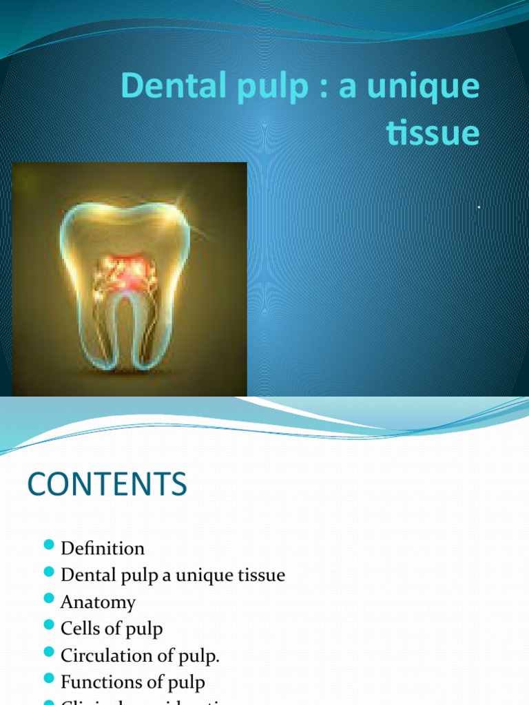Dental Pulp: A Unique Tissue | PDF | Capillary | Dentin