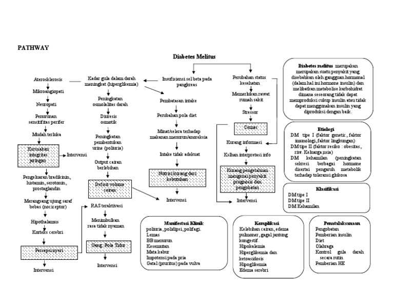 Pathway DM Hipoglikemia | PDF