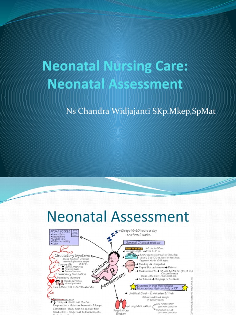 Comprehensive Neonatal Assessment Guide | PDF | Labia | Hip
