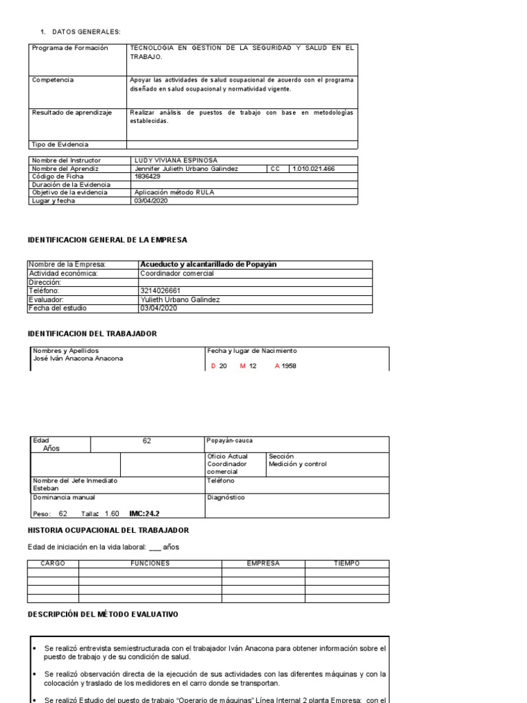 Formato Analisis Puesto de Trabajo Método Rula | PDF | Seguridad y ...