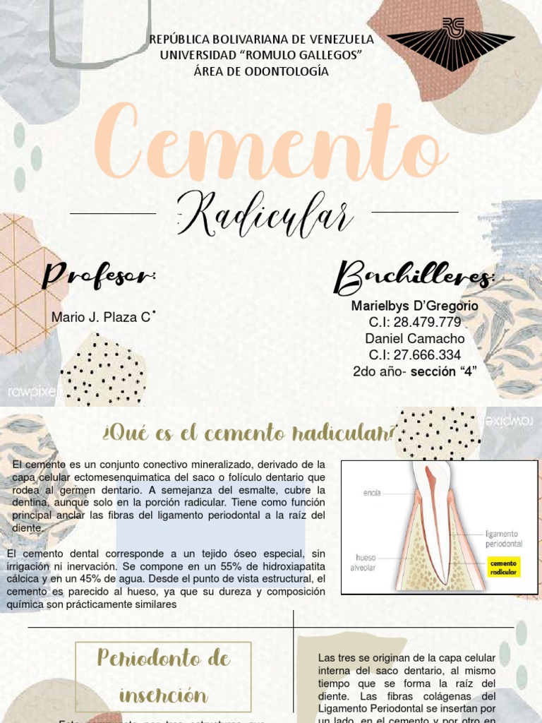 Composición y Tipos de Cemento Radicular | PDF | Anatomía | Science
