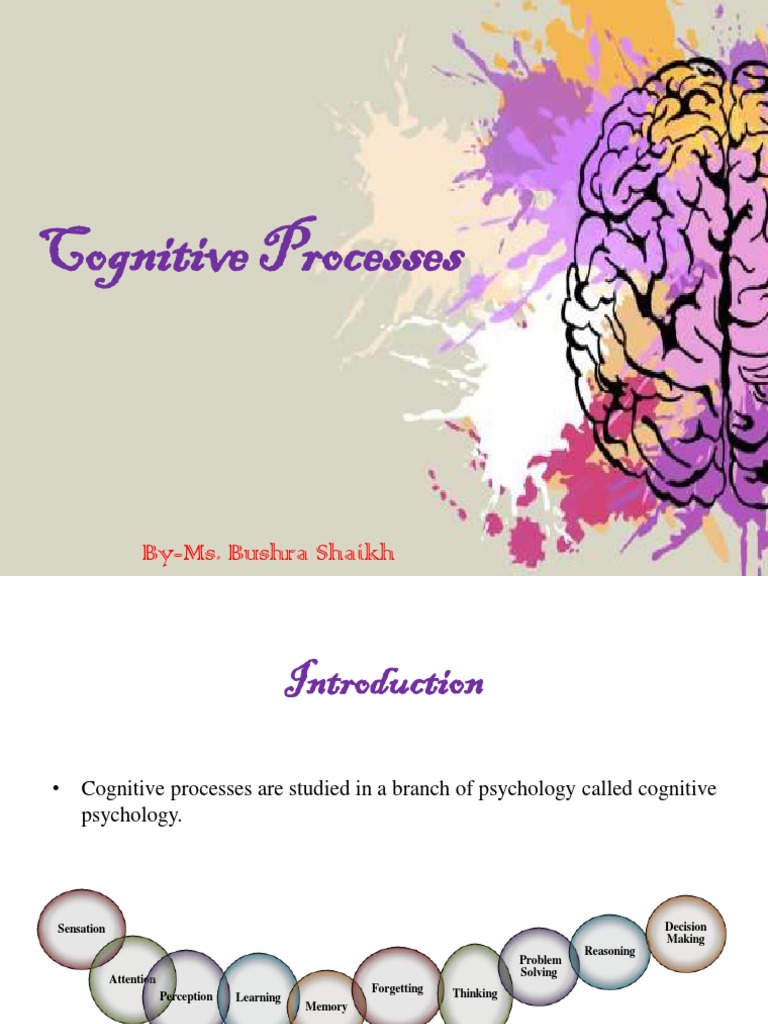 Cognitive Processes | PDF | Attention | Thought