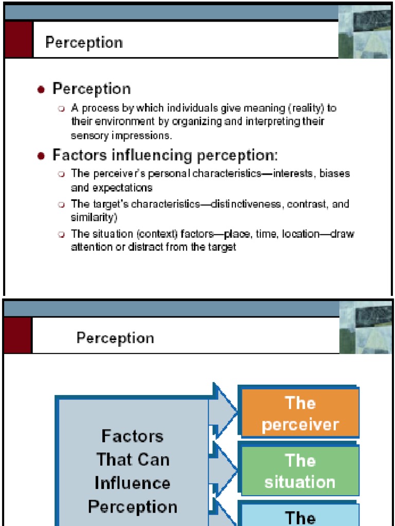 UNIT 2 Perception | PDF | Stereotypes | Perception