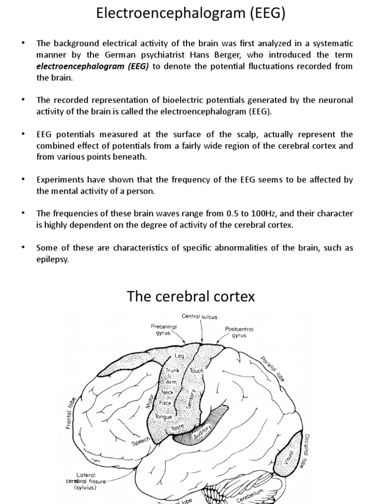 Electroencephalogram (EEG) To Denote The Potential Fluctuations Recorded From | PDF ...