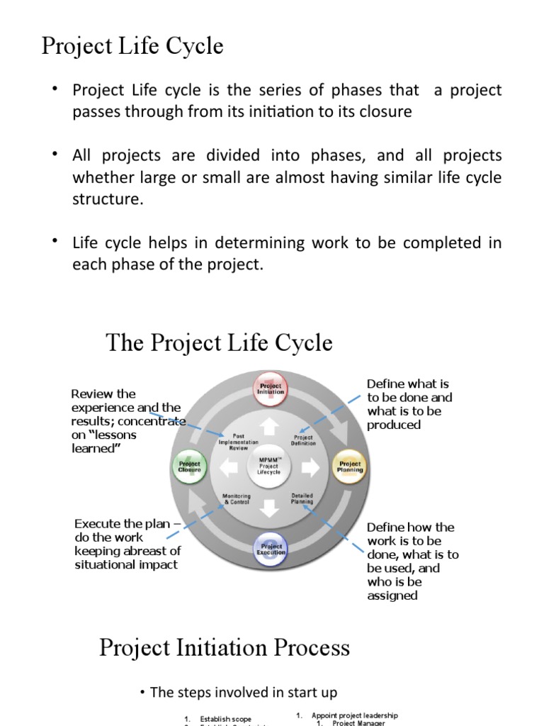 Project Life Cycle | PDF | Project Management | Procurement