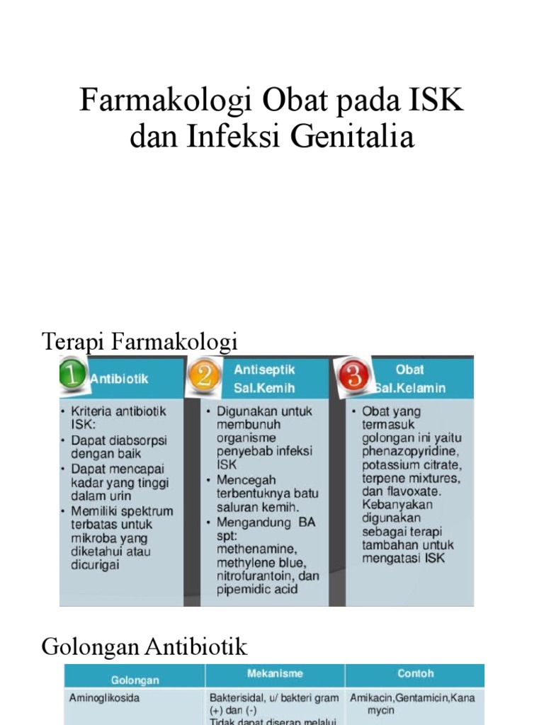 Farmakologi Obat Pada ISK Dan Infeksi Genitalia | PDF