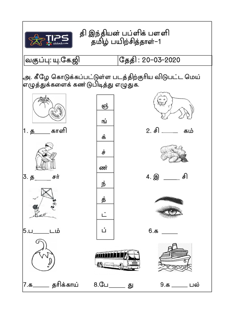KG 2 Tamil Worksheet PDF | PDF