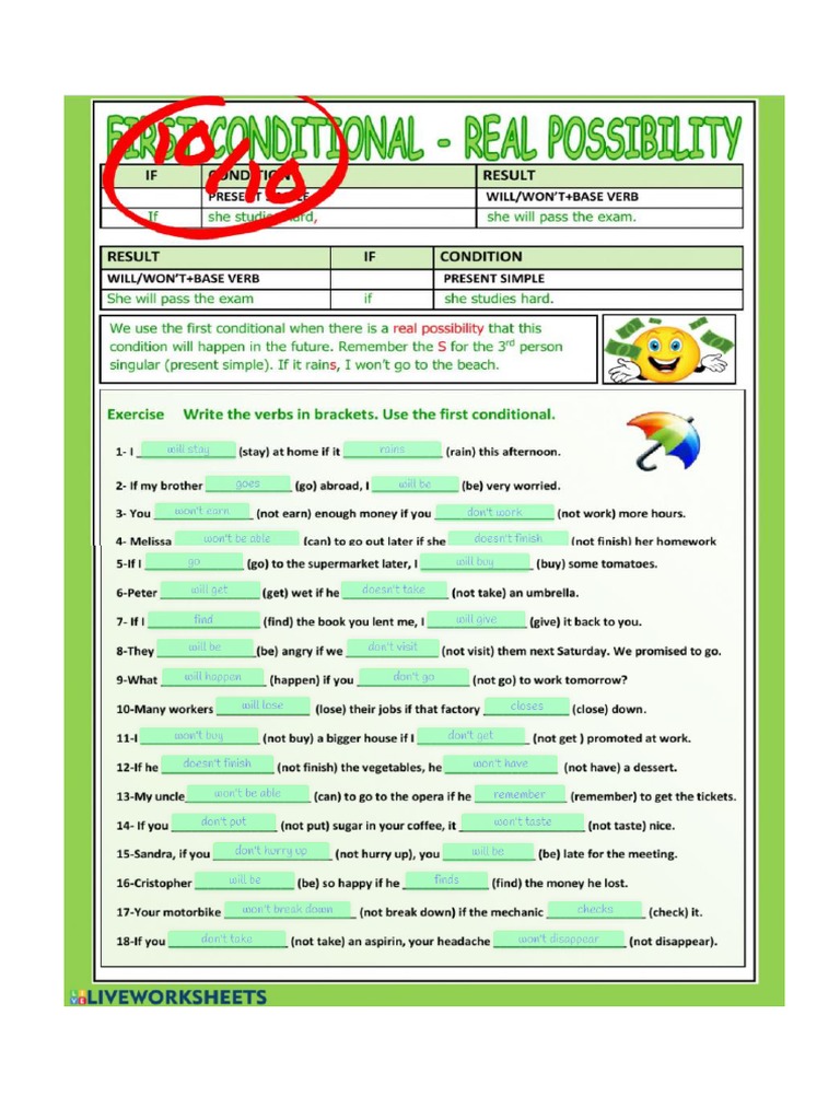First Conditional Homework | PDF