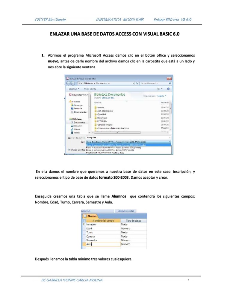 Enlazar Una Base De Datos Access Con Visual Basic Pdf Pdf Active X Data Objects Microsoft