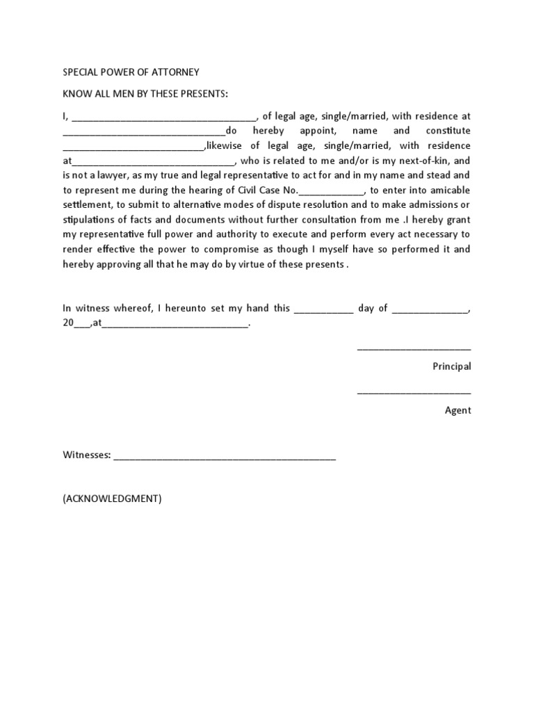 Special Power of Attorney Template | PDF