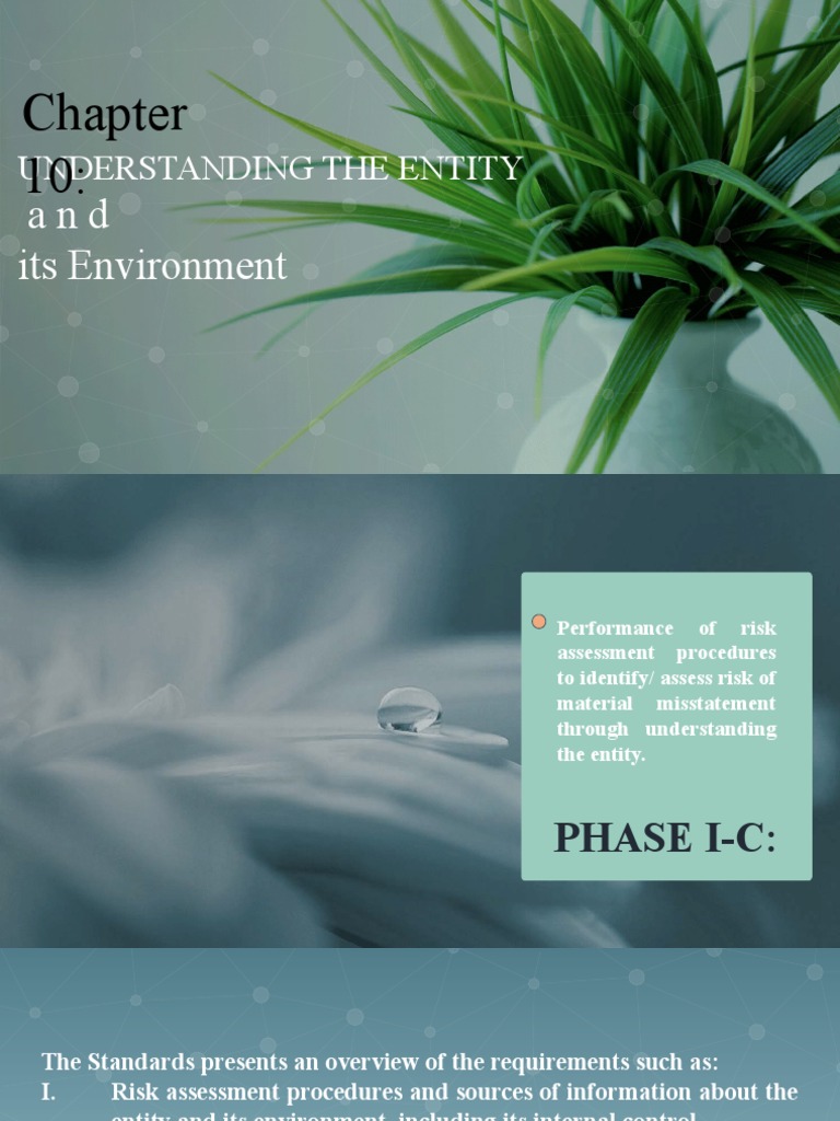 Understanding The Entity: and Its Environment | PDF | Internal Control | Audit