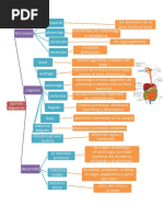 Multiflora: Uso y Dosis en Niños y Adultos | PDF | Síndrome del ...