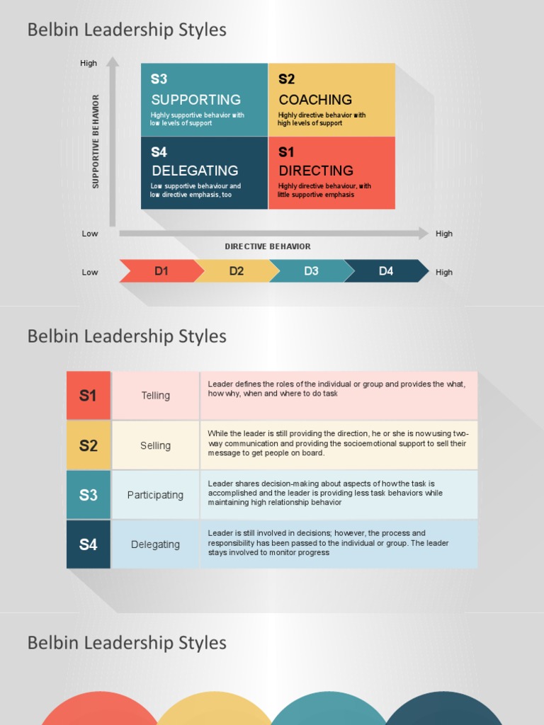 Belbin Leadership Styles Overview | PDF | Behavior | Action (Philosophy)