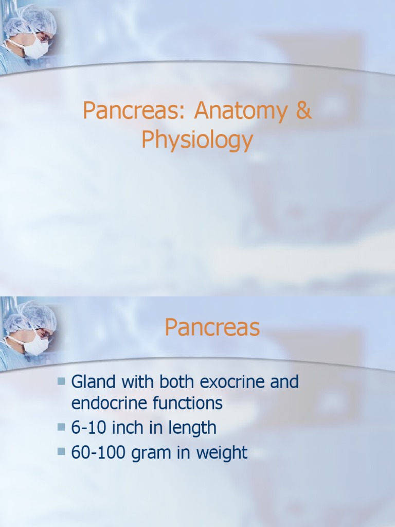 Pancrease ANATOMY AND PHYSIOLOGY | PDF | Pancreas | Insulin