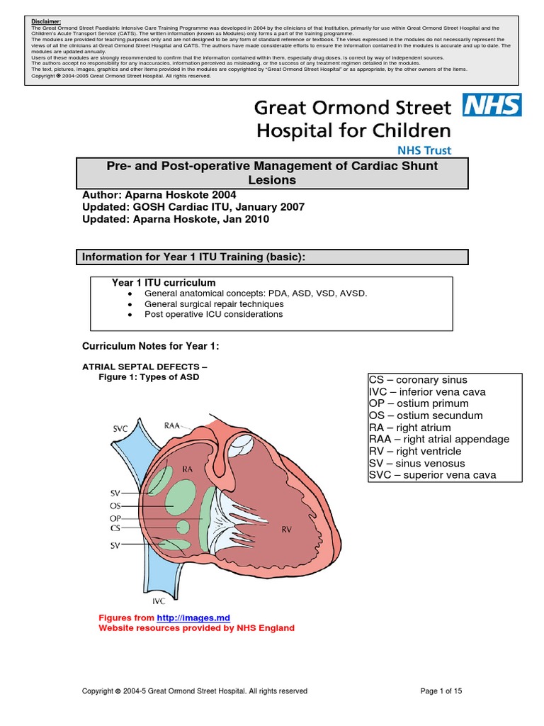 18 - CHD ICU Management - Shunt Lesions | PDF | Heart Valve | Atrium ...