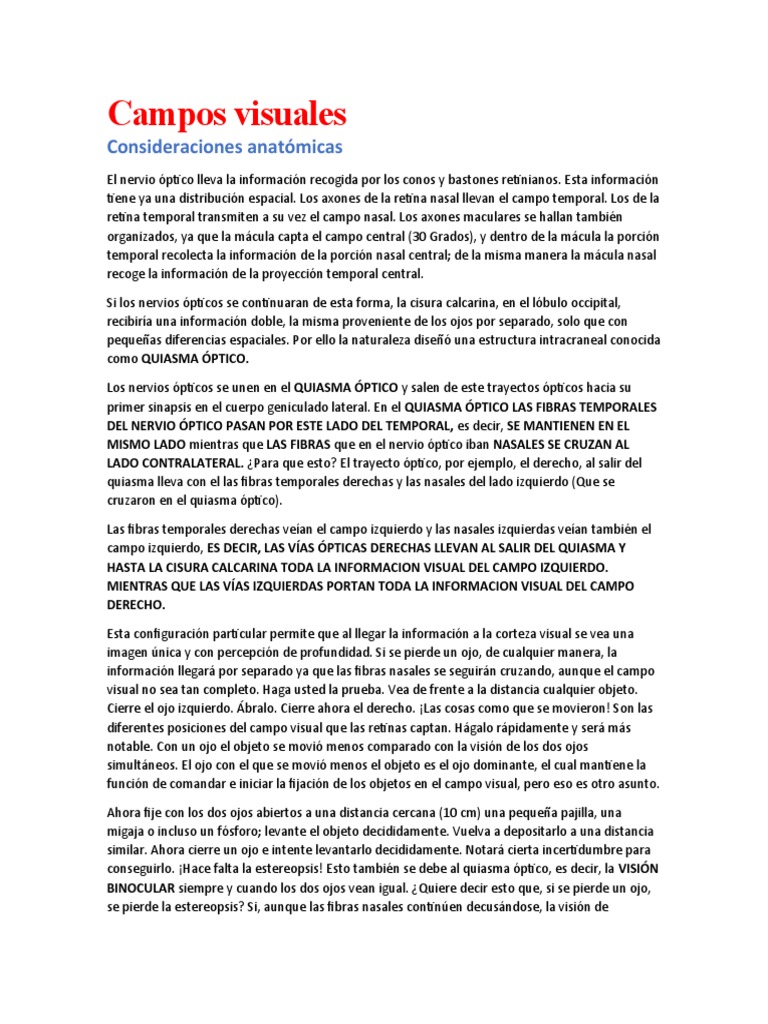 Campos Visuales | PDF | Lóbulo occipital | Percepción visual