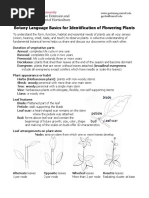 Types and Margins of Leaf Shapes | PDF | Leaf | Plants