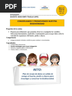 Ficha Junta | PDF | Pluma | Aves