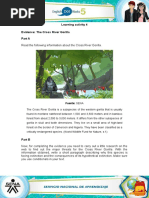 Assignment 6 | PDF | Gorilla | Trees