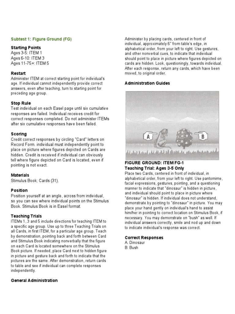 Leiter-3 Admin Subscales | PDF | Test (Assessment)