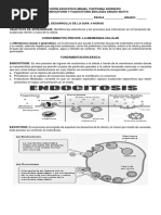Taller sobre Células para 6° Grado | PDF | Biología Celular) | Citoplasma