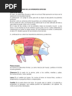 Partes de La Res | PDF | filete | Técnicas de cocina