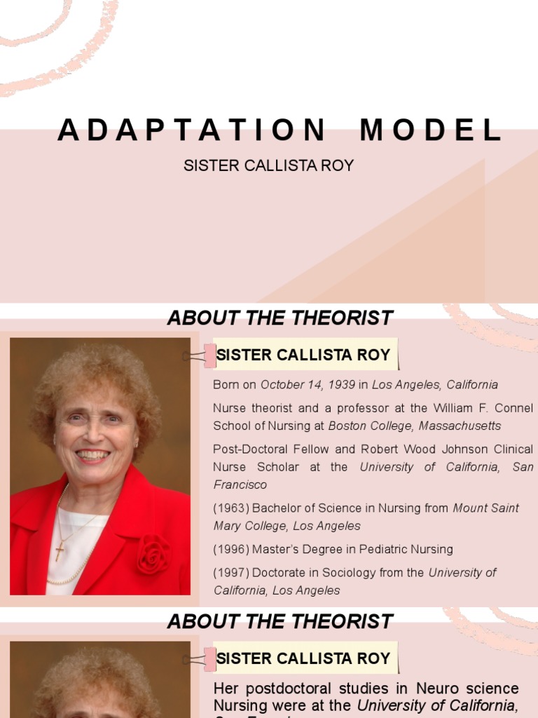 Roy's Adaptation Model | PDF | System | Behavior