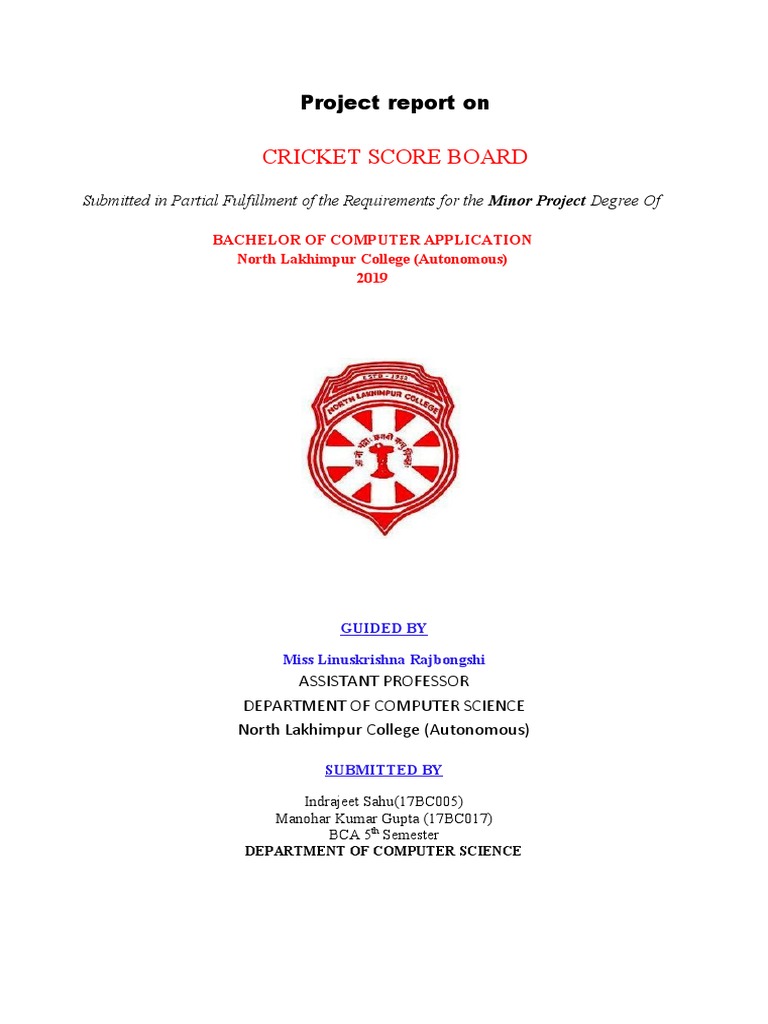Project Report CRICKET | PDF | Databases | System