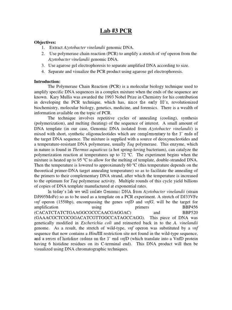 PCR Lab Protocol | Download Free PDF | Agarose Gel Electrophoresis ...