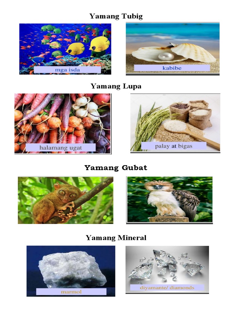 Yamang Lupa Halimbawa Mga Likas Na Yaman At Produkto Sa Aking