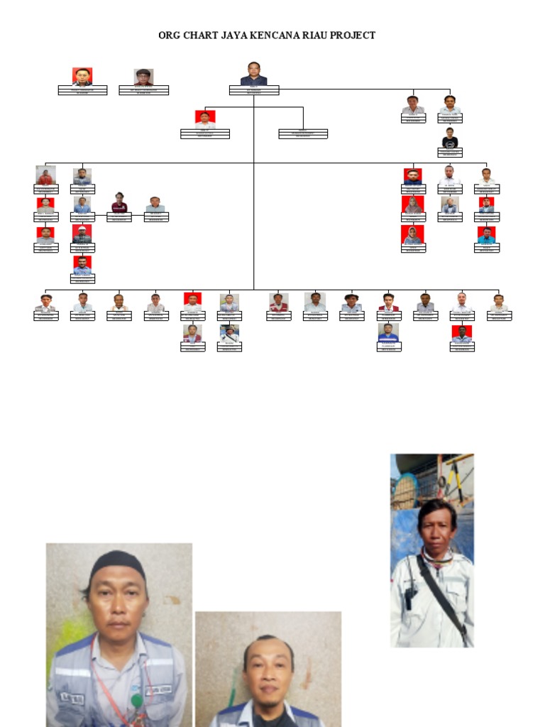JK Structure Org Chart | PDF | Nature