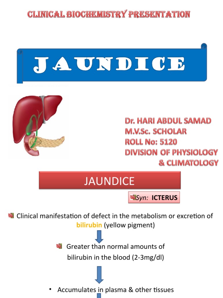Jaundice 03 | PDF | Gastroenterology | Liver