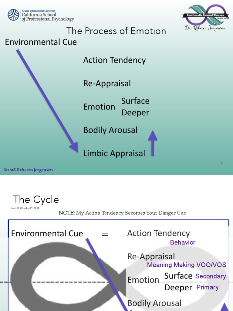 Affect Assembly To Cycle-Process of Emotion | PDF | Emotions | Epistemology