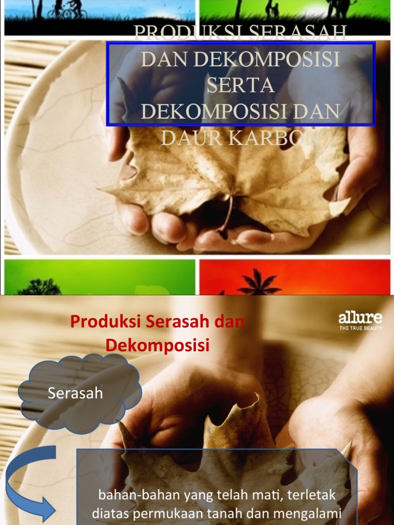 Serasah | PDF