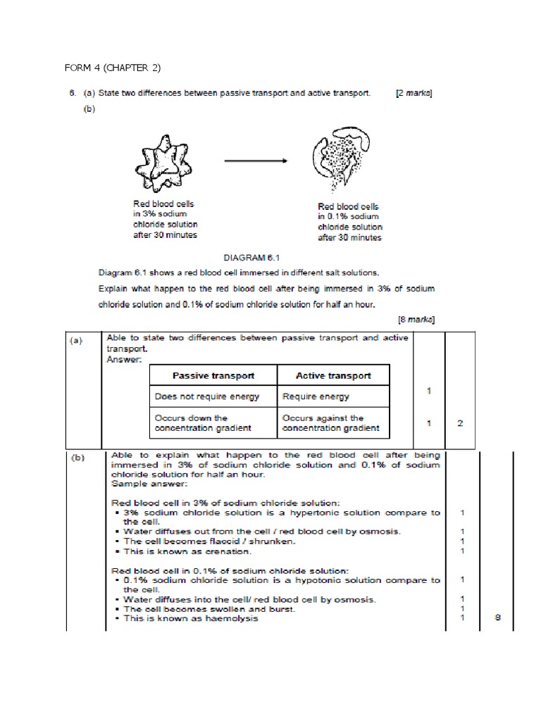 bIOLOGY eSSAY NEW FORM 4 | PDF