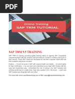SAP CO Account Assignment Tutorial | PDF
