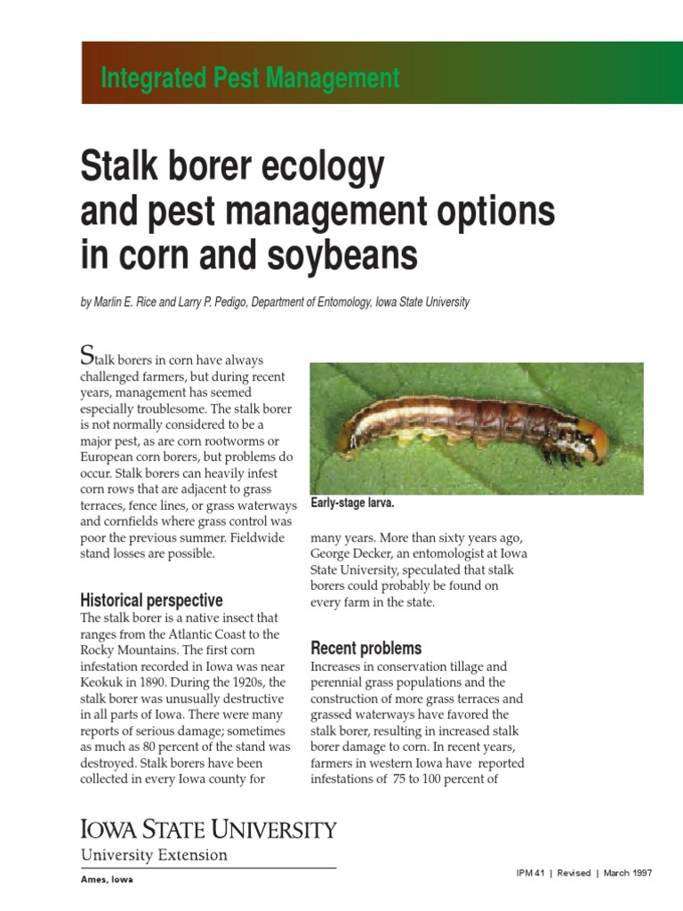 Stalk Borer Ecology and Pest Management Options in Corn and Soybeans ...