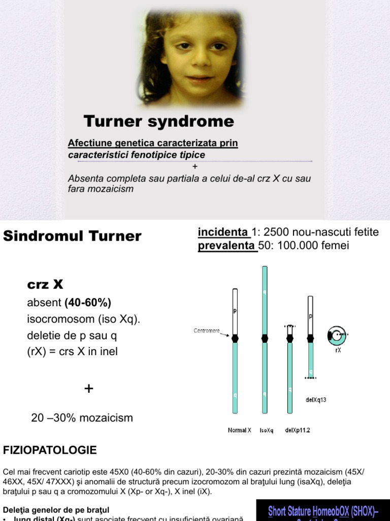 Curs 10. Ovar2 | PDF