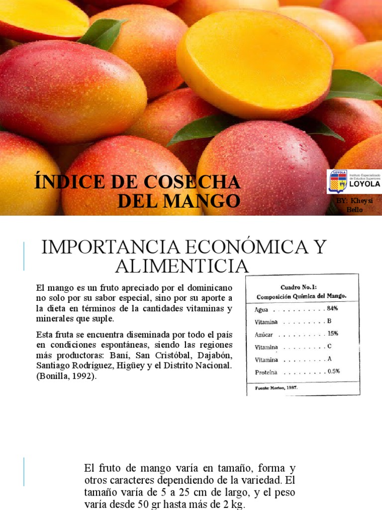 Mango | PDF | Mango | Agricultura