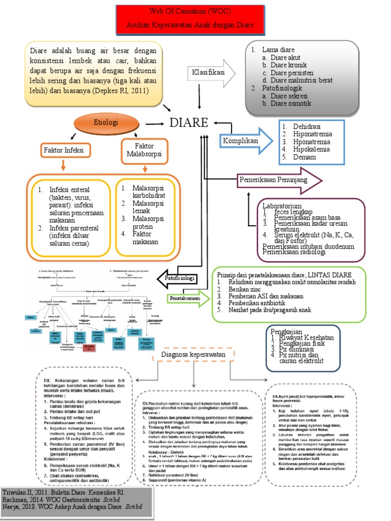 Yukeu Nopiyanti (WOC Diare) | PDF