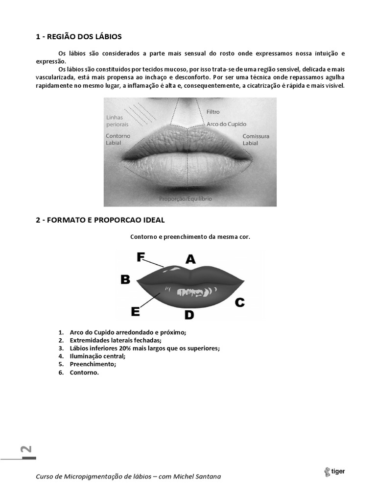 Anatomia Dos Labios | PDF