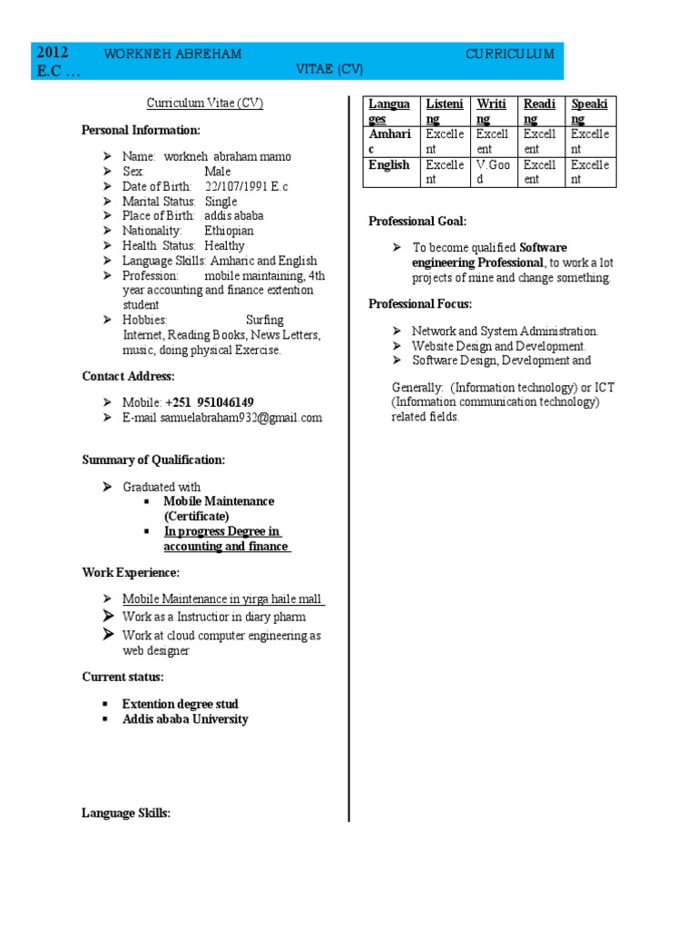 CV Dox | PDF | Computing | Communication