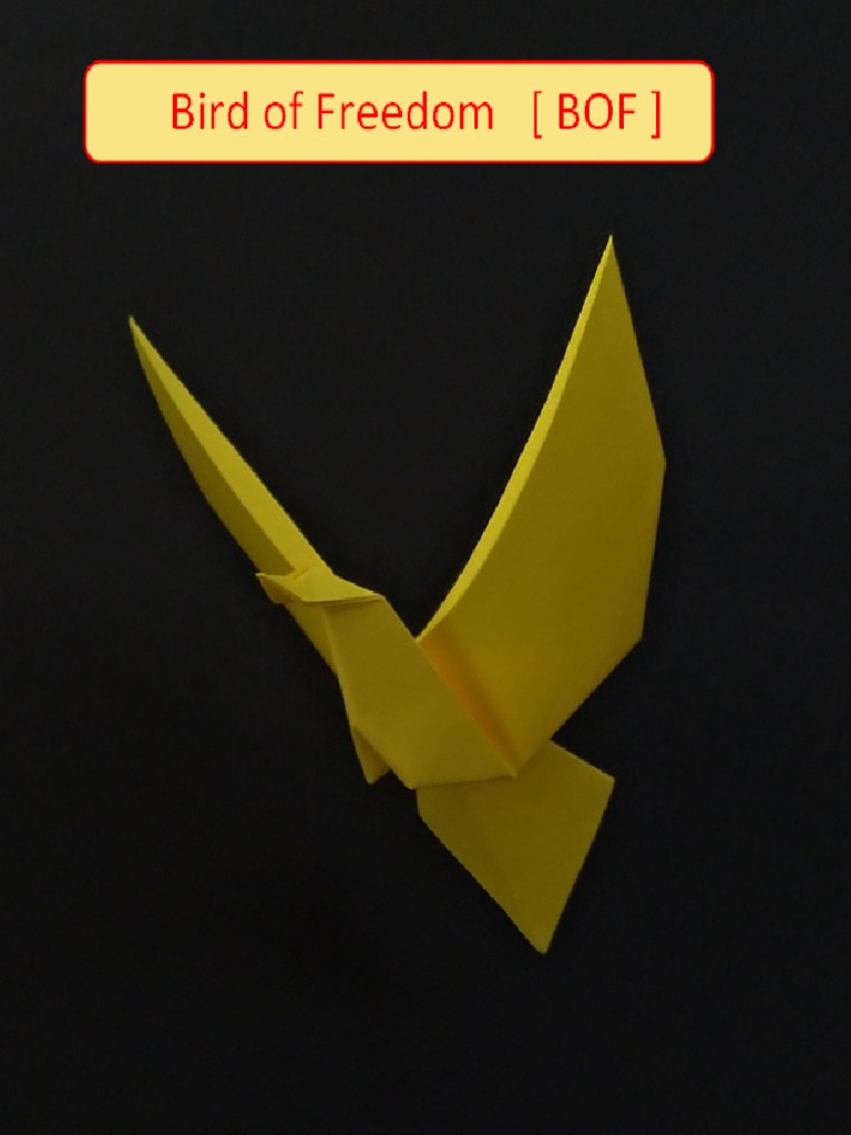 Bird of Freedom (BOF) | PDF