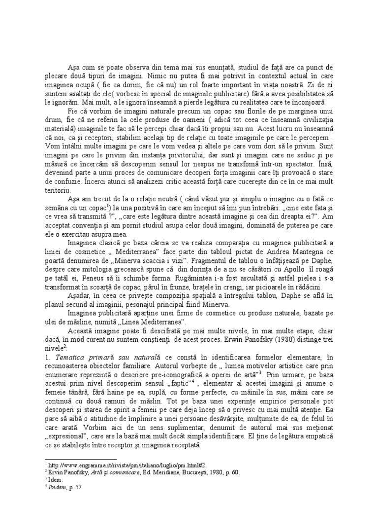 Proiect Mesina | PDF