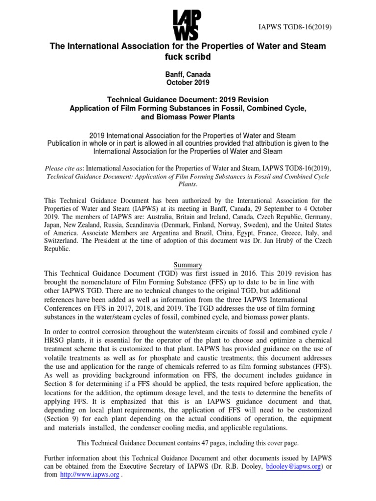 IAPWS - Technical Guidance Document - Application of Film Forming ...