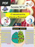 Efecto Poseiro en el Embarazo | PDF | Placenta | Feto