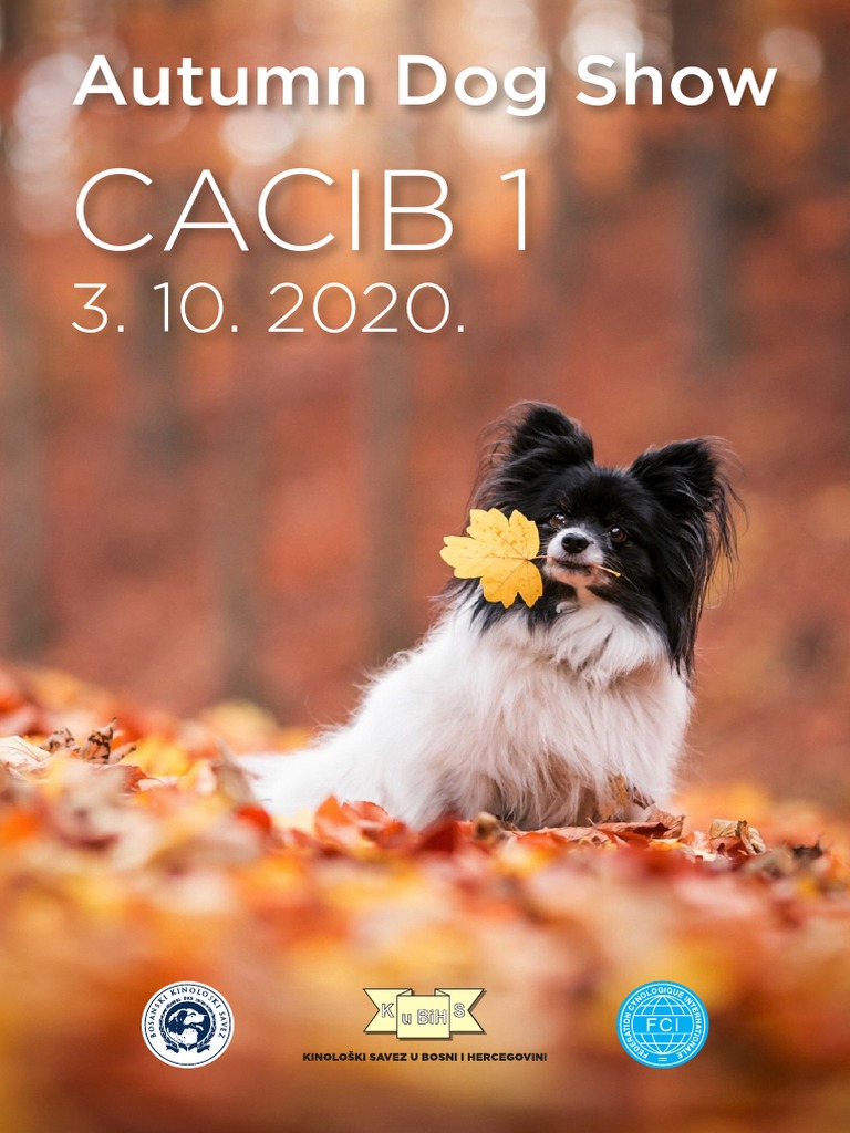 Cacib 1 Gradacac 2020 03.10.2020 1 | PDF