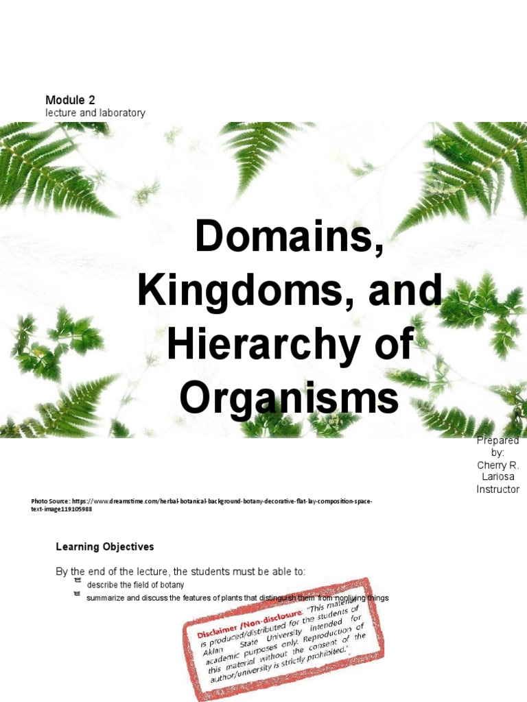 Domains and Kingdoms in Botany | PDF | Cell (Biology) | Organisms