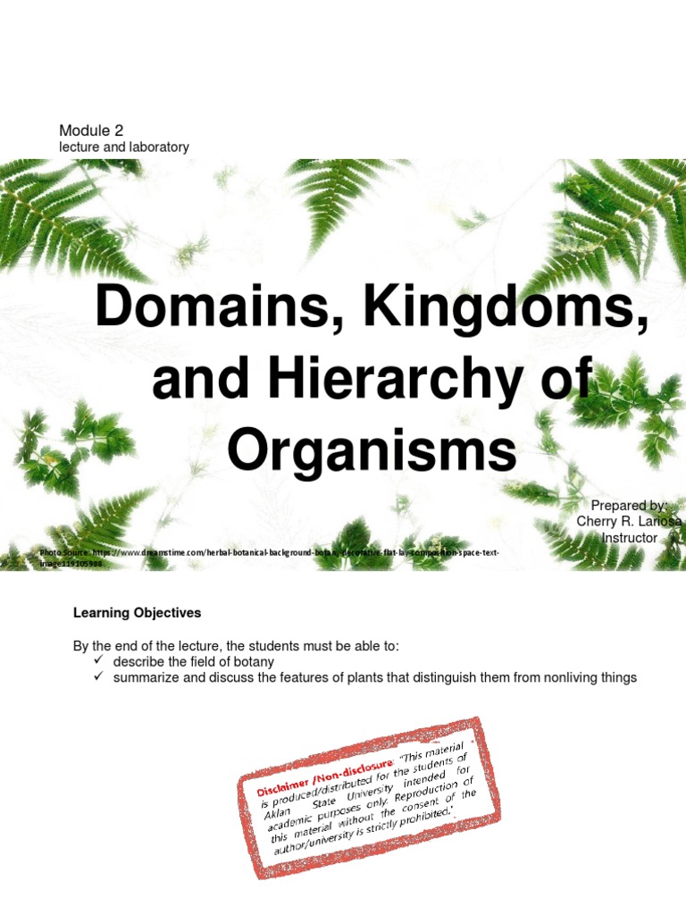 2.-Domains-Kingdoms-and-Hierarchy 2 | PDF | Cell (Biology) | Organisms