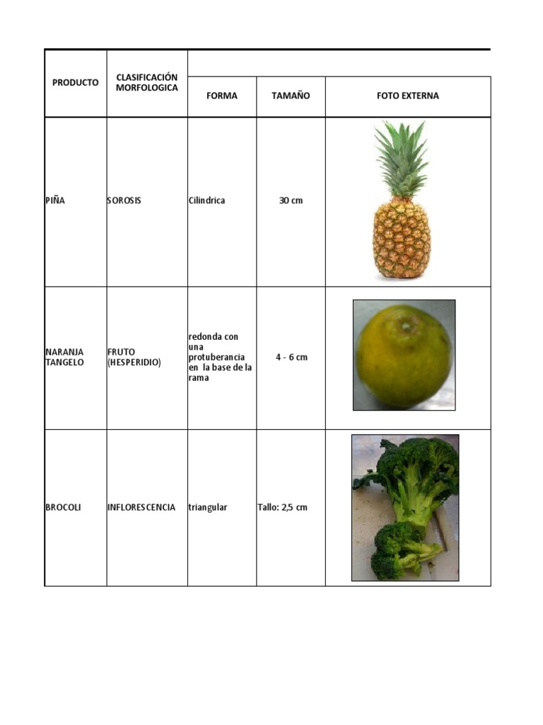 Características Físicas y Composición de Frutas y Verduras | PDF ...